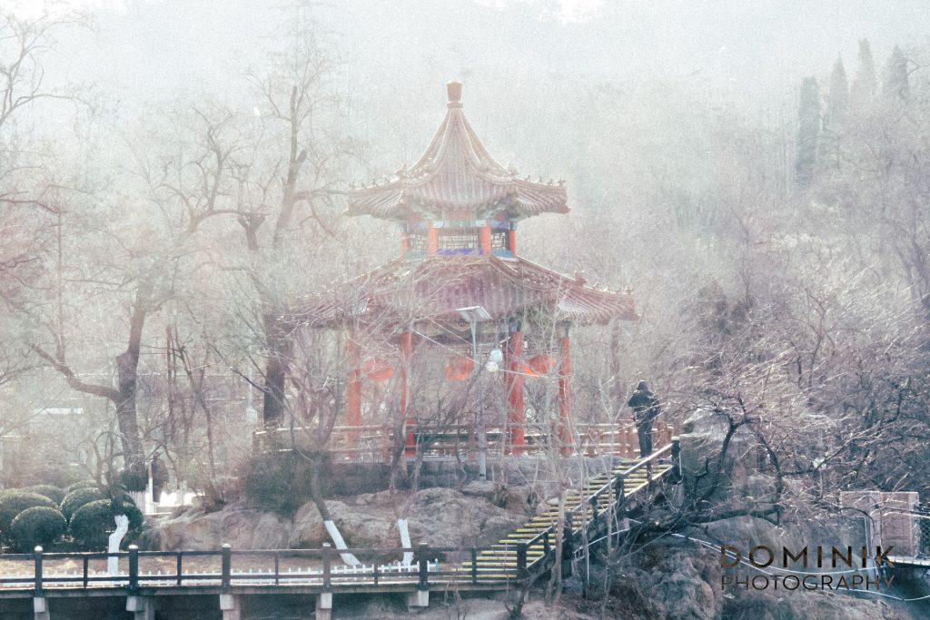 Dalian - your not so typical China - Dominik Photography